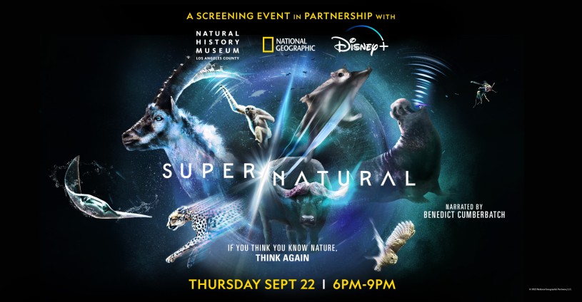 Super/Natural at NHM | Natural History Museum